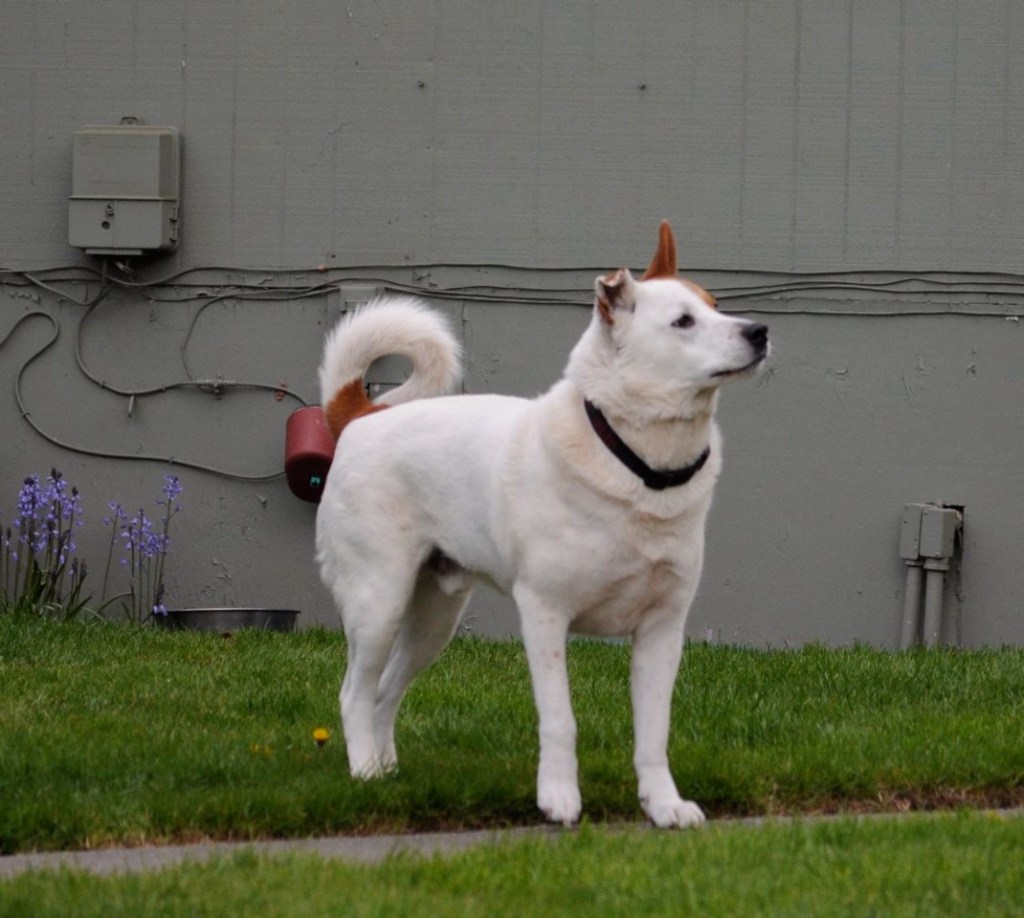 jonathankinsey | Just another WordPress.com site